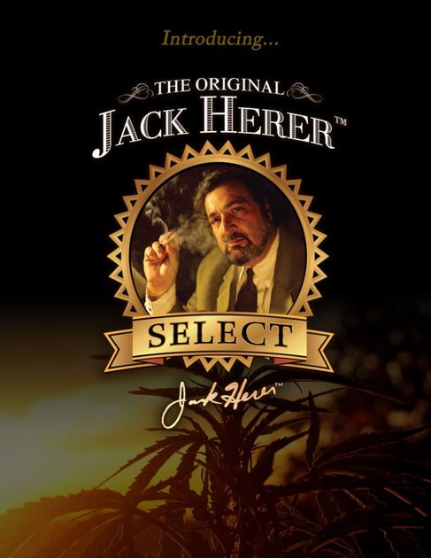 The Original Jack Herer THC-A Products – Crumbz VPR